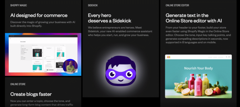 Shopify's Sidekick: A New AI Feature for Online Sellers! [ How to Use It?]
